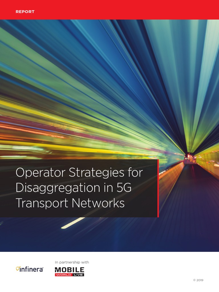 Operator Strategies For Disaggregation in 5G Transport Networks | PDF | Computer Network ...