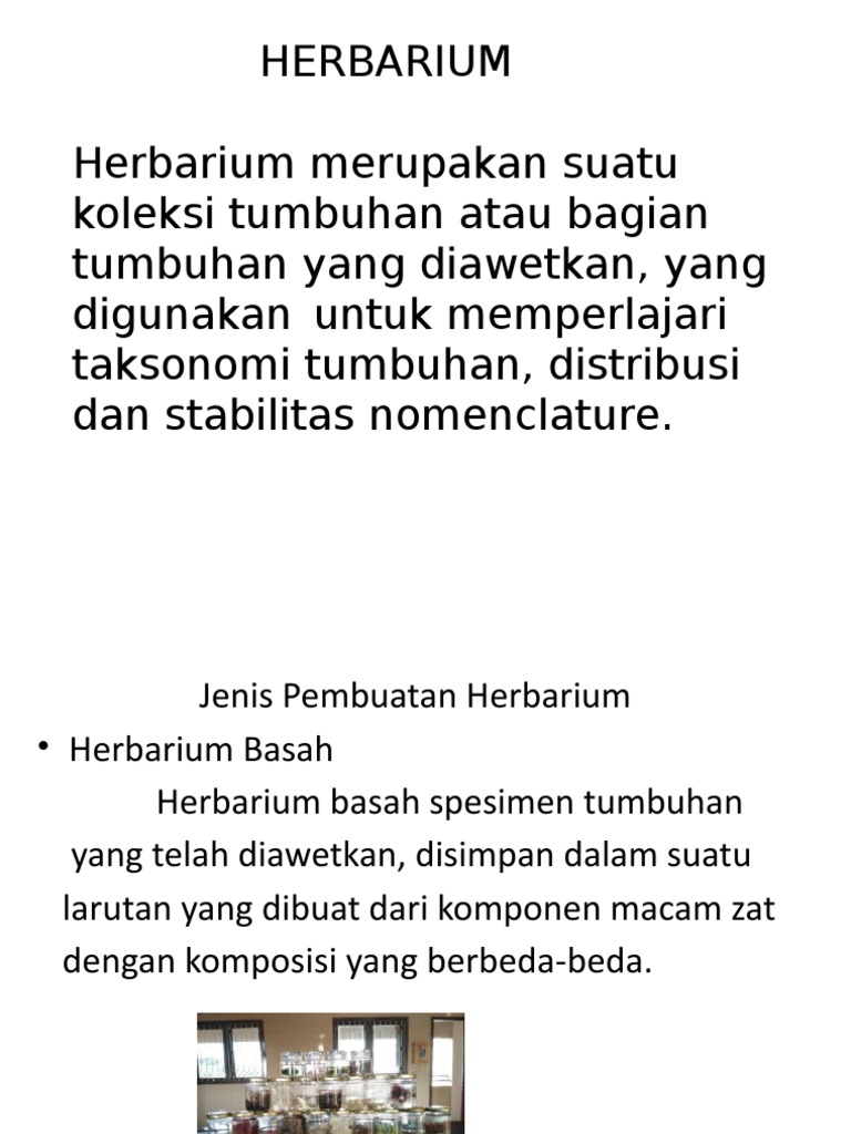Herbarium | PDF