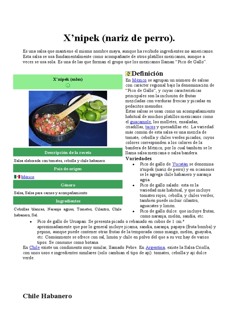 Salsa X'nipek: Receta y Variedades | PDF | Cocina de las Americas ...