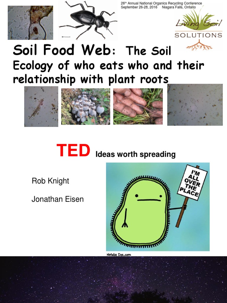 Soil Food Web-Who Eats Who and Their Relationship With Plant Roots M ...