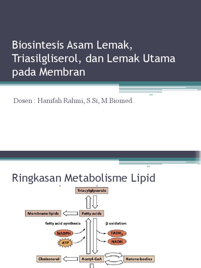 Biosintesis Asam Lemak dan Trigliserida | PDF