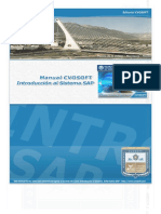 Manual SAP HCM: Guía de Usuario y Soporte | PDF | Bancos