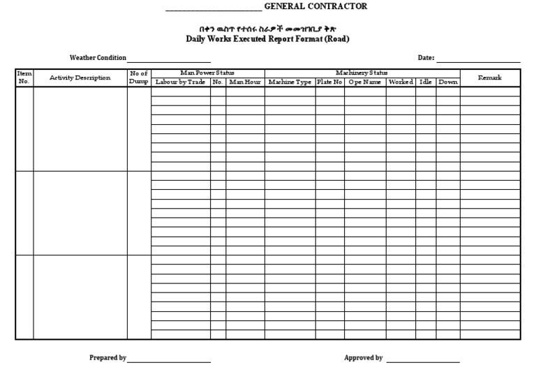 3.10 Daily Works Executed Report Format | PDF