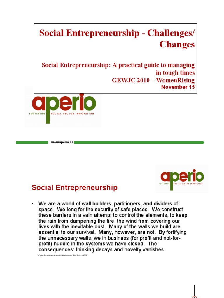 Social Entrepreneurship Challenges Guide | PDF | Social Enterprise ...