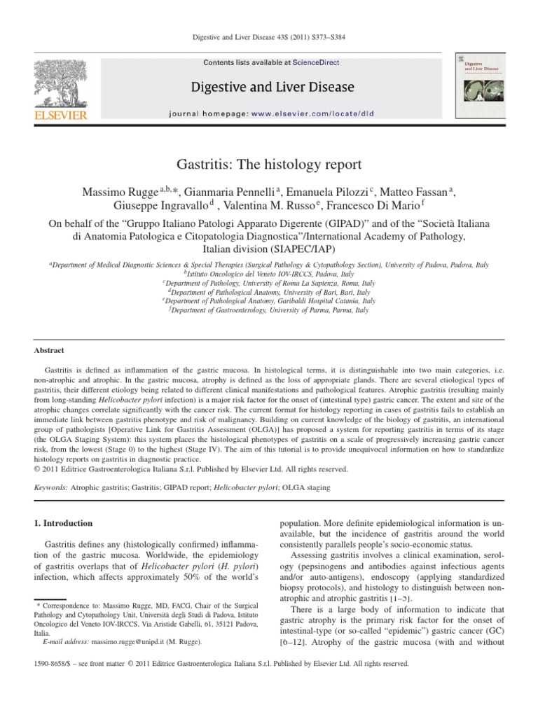 Gastritis The Histology Report | PDF | Stomach | Gastroenterology