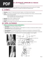 Anatomie et Fonction du Poignet | PDF | Membres (anatomie) | Système ...