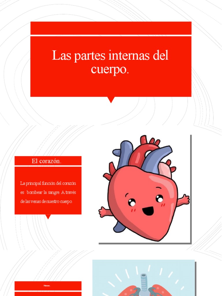 Las Partes Del Cuerpo y Sentidos | PDF
