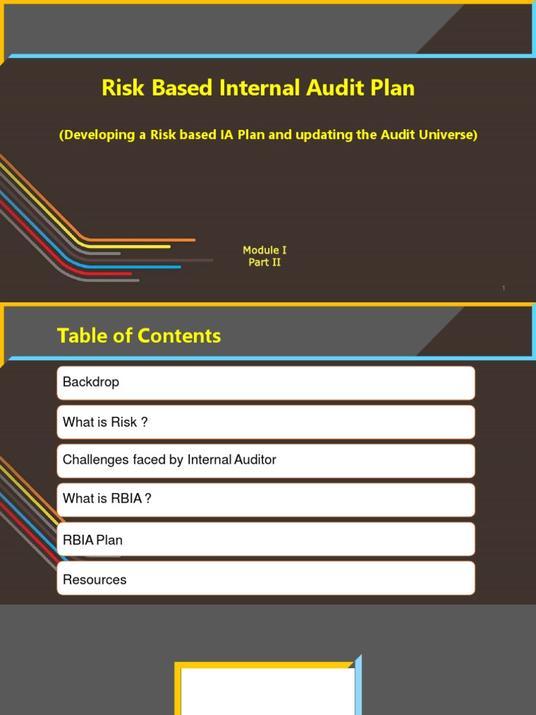 Risk Based Internal Audit Plan PDF | PDF | Internal Audit | Audit