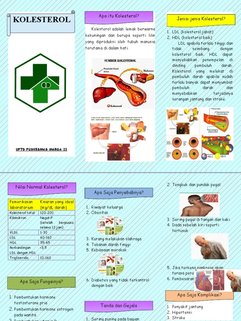 Leaflet Kolesterol | PDF
