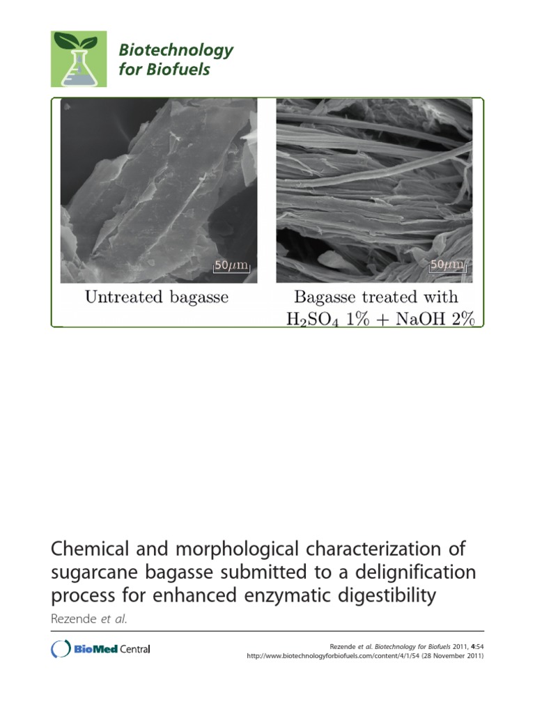 Chemical and Morphological Characterization of Sugarcane Bagasse ...
