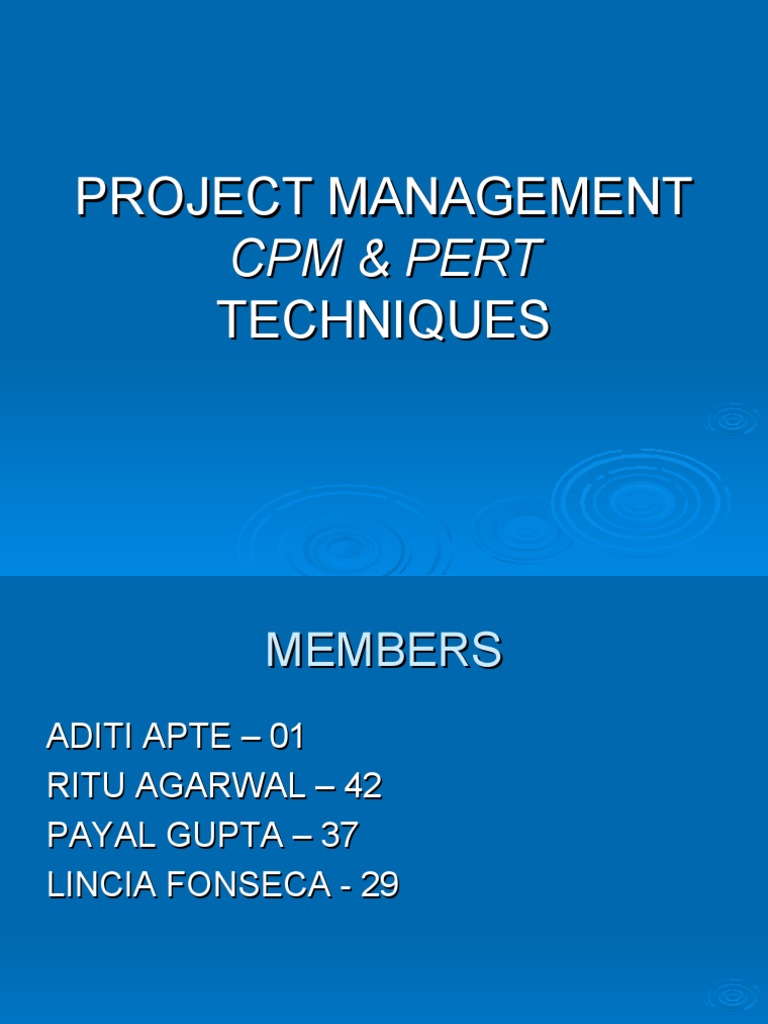 Project Management Techniques | PDF | Business | Project Management