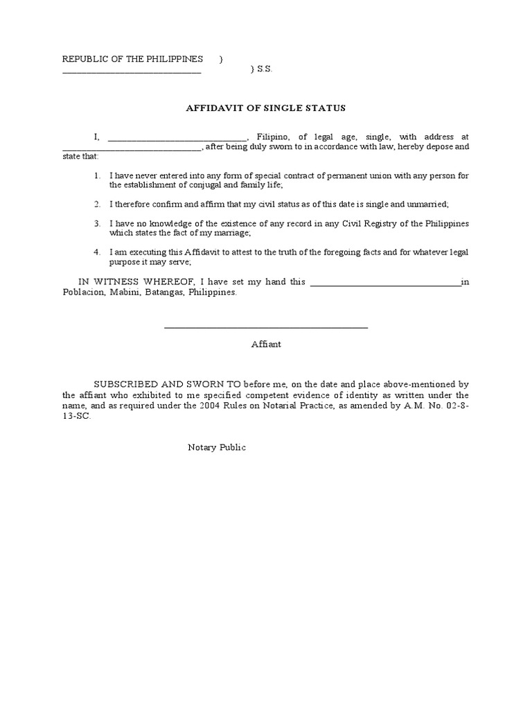 Affidavit of Single Status | PDF