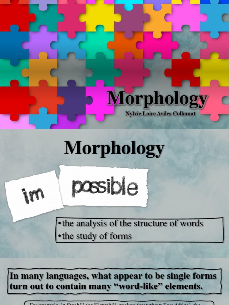 Report 2-Morphology PDF | PDF | Morphology (Linguistics) | Word