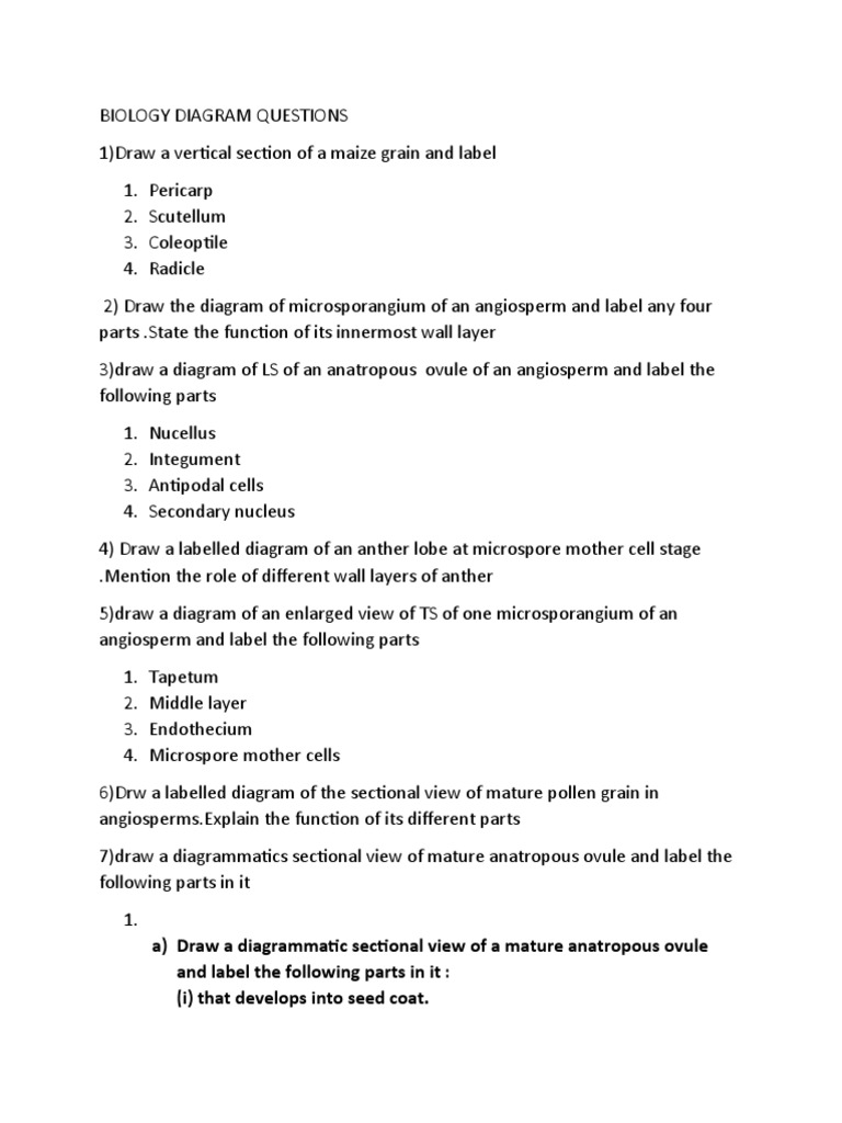 Biology Diagram Questions | PDF | Reproduction | Plant Reproduction