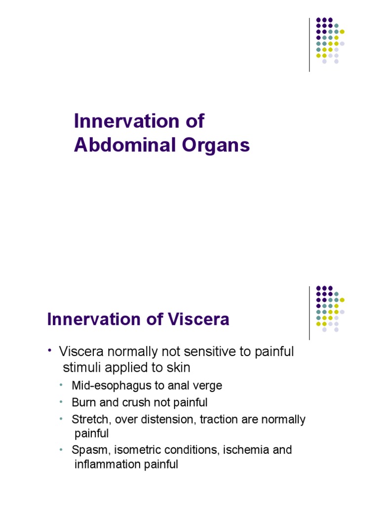 Innervation of Abdominal Organs | PDF | Abdomen | Aorta