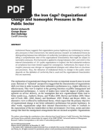 Iron Cage Revisited: Isomorphism Insights | PDF | Max Weber | Bureaucracy