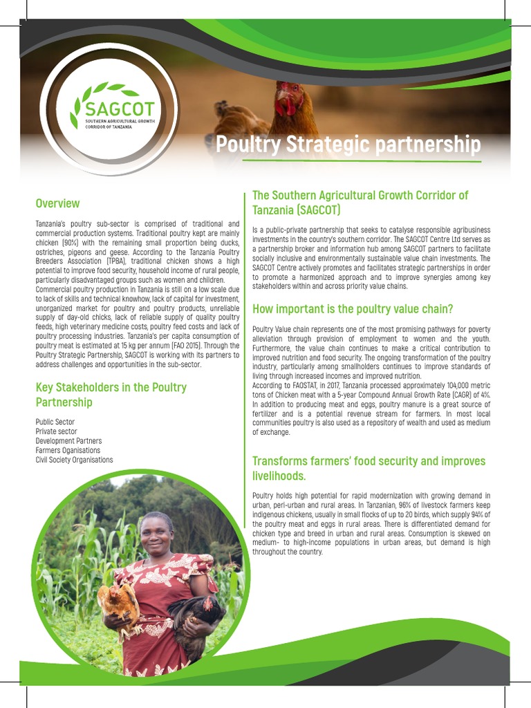 SAGCOT Brochure Poultry Strategic Approach | PDF | Meat | Chicken