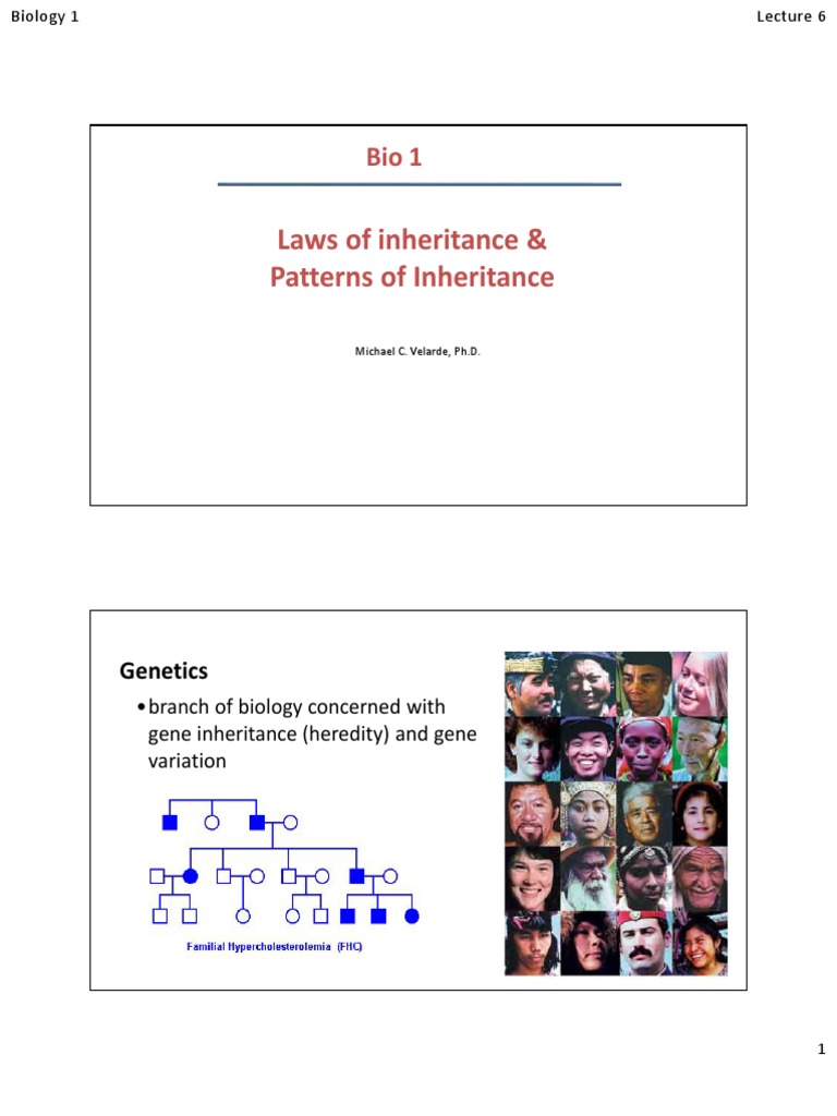 Lecture III-1 Laws of Inheritance Patterns of Inheritance | PDF ...