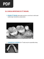 Morphology of Permanent Maxillary 3rd Molar | PDF | Dental Anatomy ...