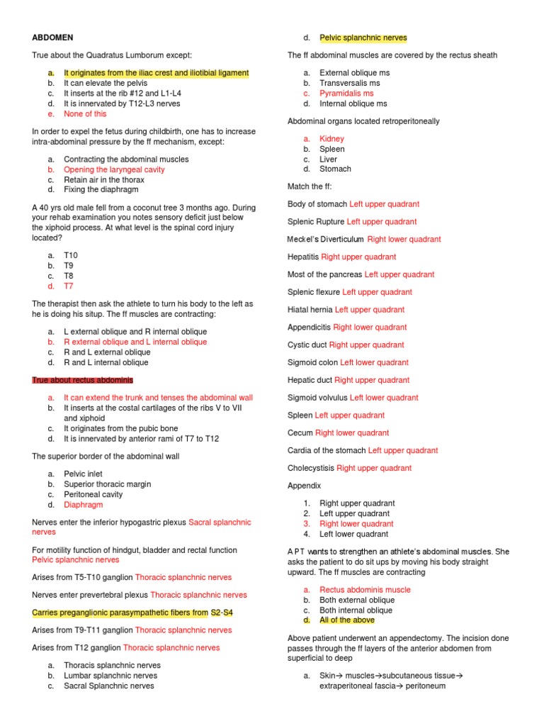 Gross Ana 1 | PDF | Abdomen | Human Leg