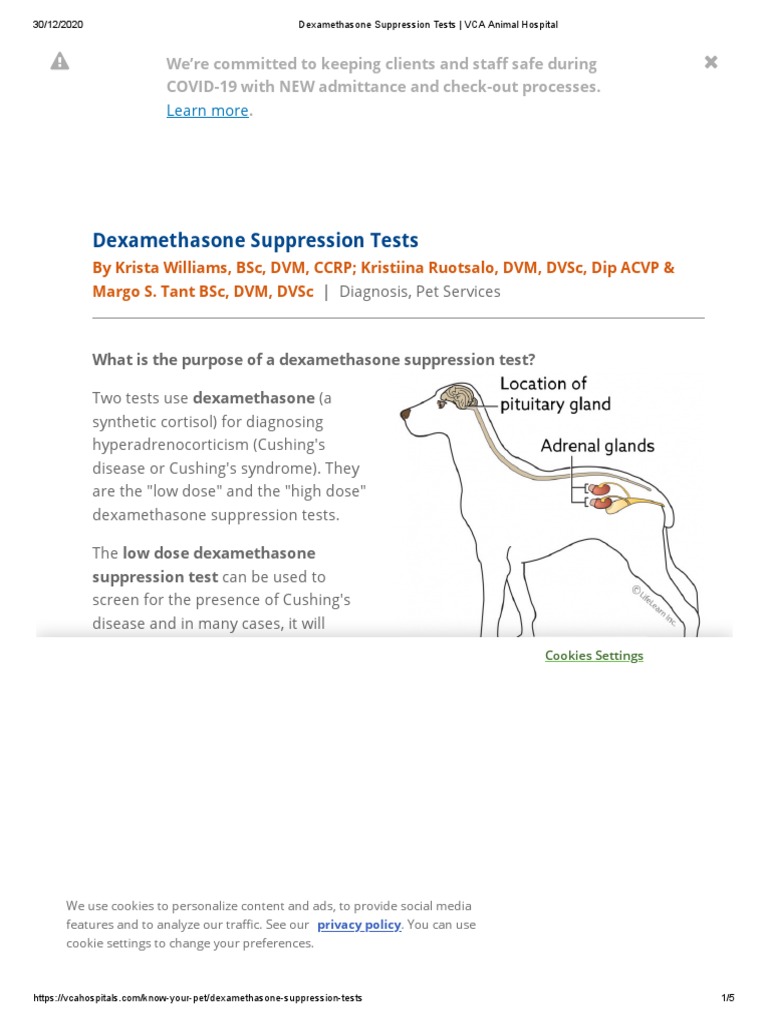 Dexamethasone Suppression Tests - VCA Animal Hospital | PDF ...