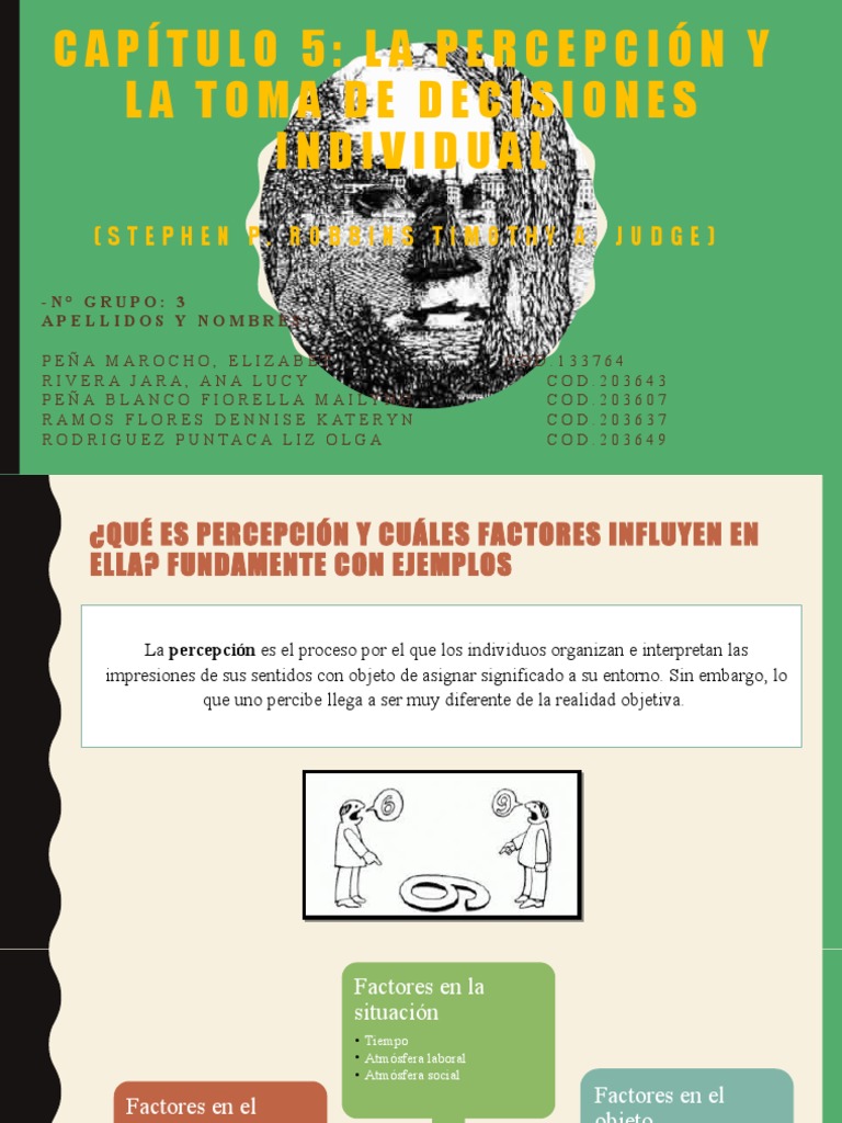 Capítulo 5 - La Percepción y La Toma de Decisiones Individual (Stephen ...