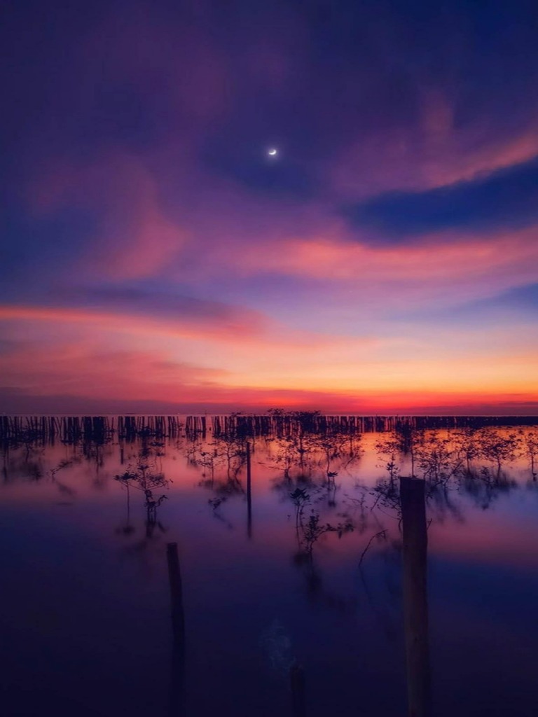 HW - Watermark - Magazine Unlock 01 233632 - JPG | PDF