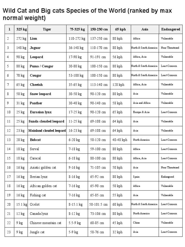 Wild Cat Species of The World | PDF | Carnivorans | Cougar