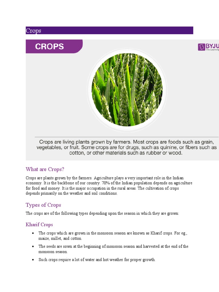 What Are Crops? | PDF | Agriculture | Soil