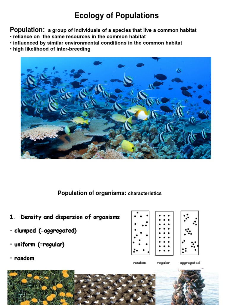 Ecology of Populations: Population | PDF | Population | Reproduction