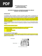 Curva de Spee y Wilson | PDF | Ortodoncia | Odontología