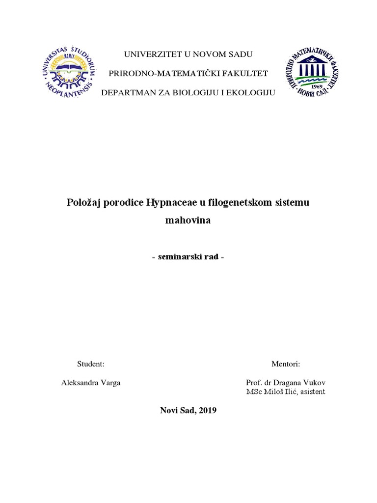 Seminarski Primer PDF | PDF