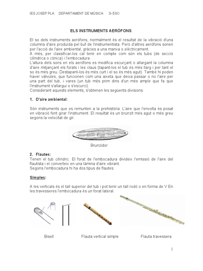 Instruments aérophones et microorganismes | PDF