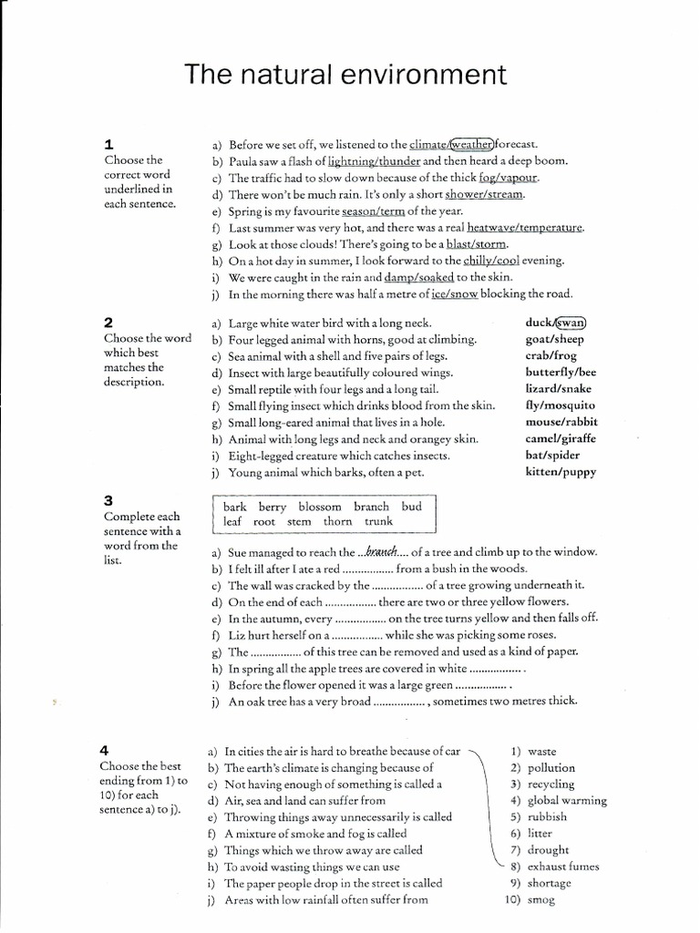 1.1. VOCABULARY. The Natural Environment PDF | PDF