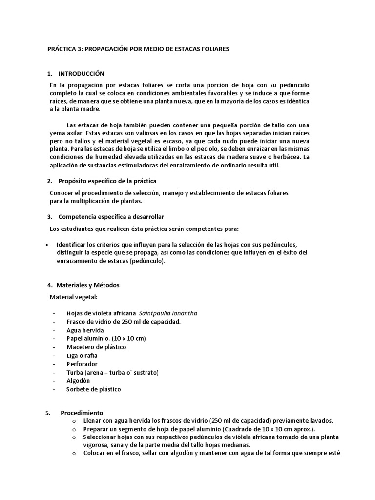PRÁCTICA 3 Propagacion Por Medio de Estacas Foliares | PDF | Hoja ...