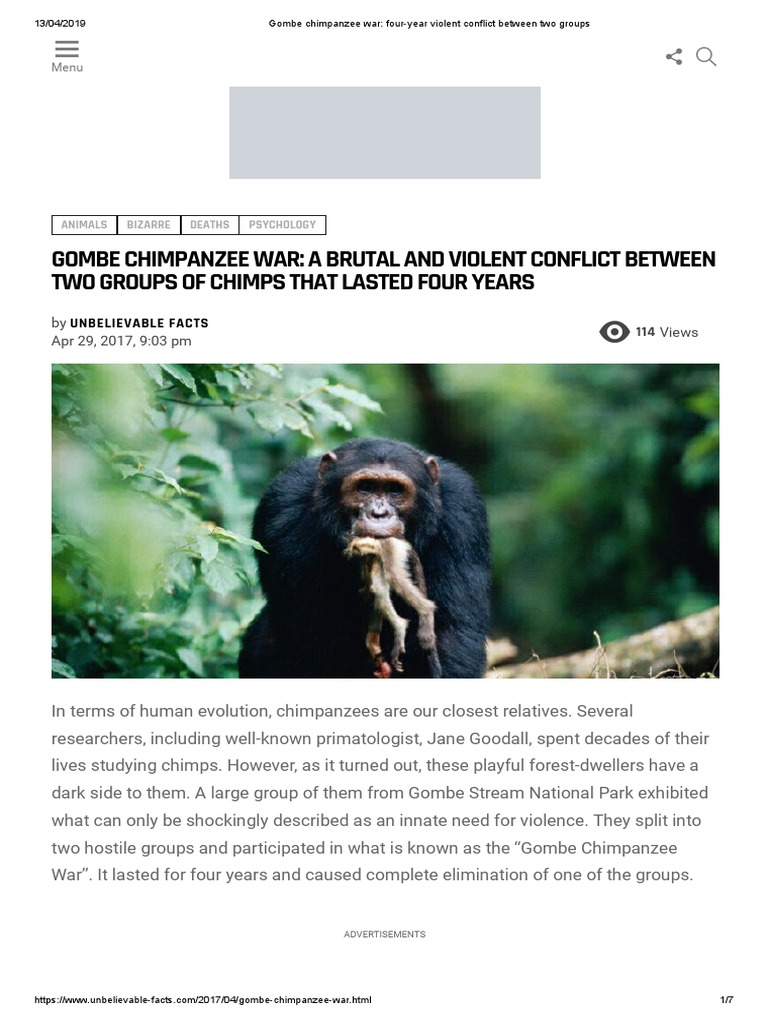 Gombe Chimpanzee War - Four-Year Violent Conflict Between Two Groups ...
