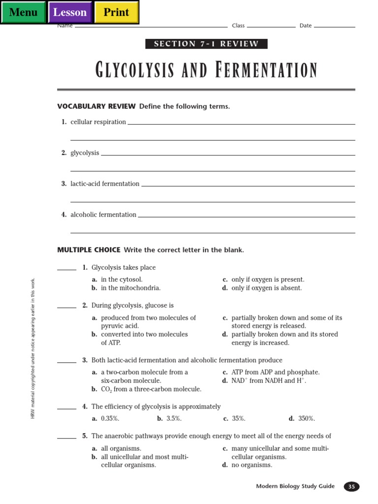 Glycolysis and Fermentation Worksheet Review | PDF | Glycolysis | Mitosis