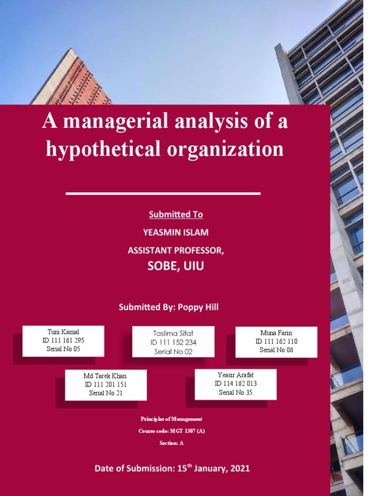 A Managerial Analysis of A Hypothetical Organization - Group Poppy Hill ...