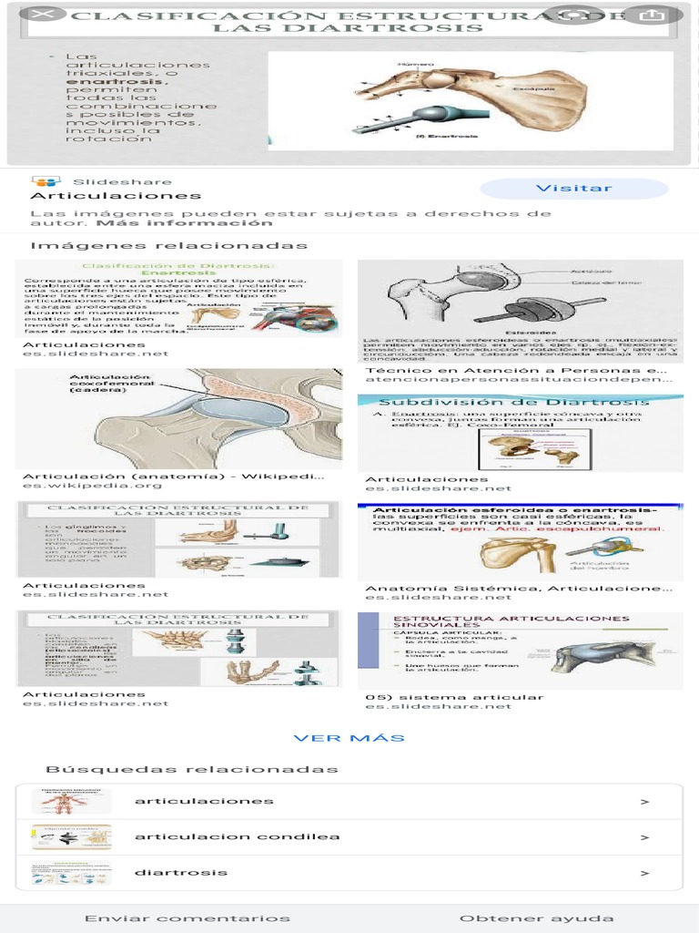 Enartrosis Articulacion | PDF