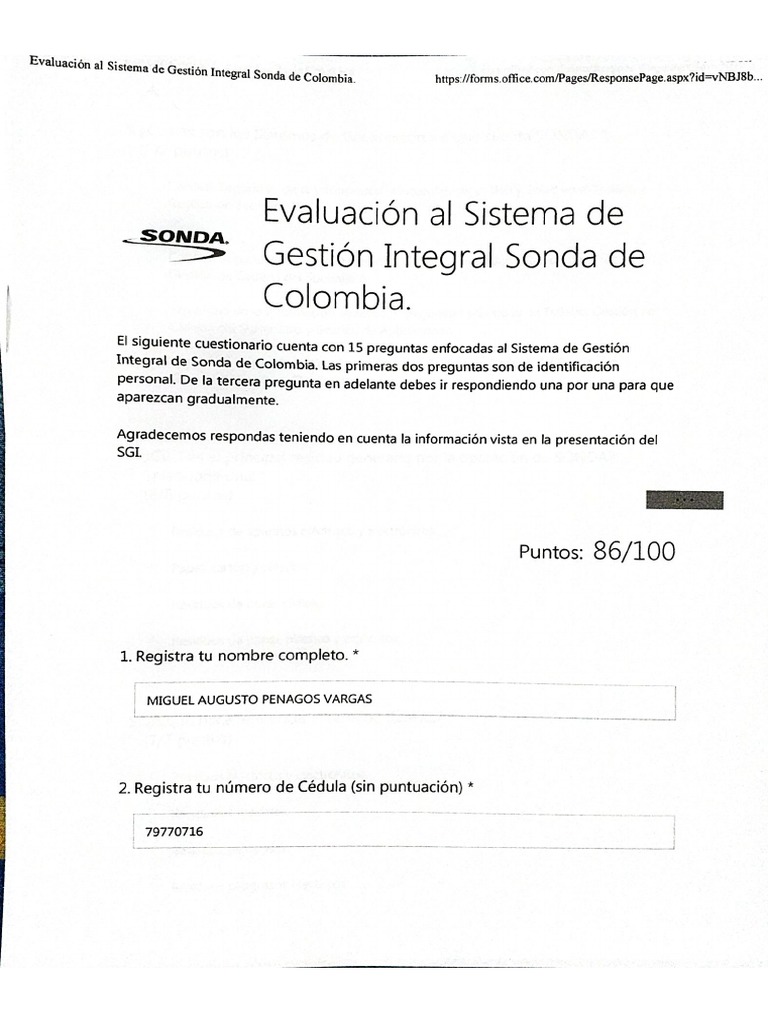 Formatos Test Realizados | PDF