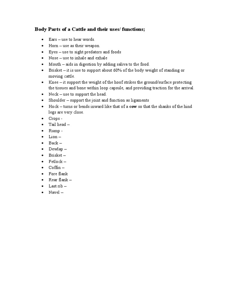 Body Parts of A Cattle and Their Uses | PDF