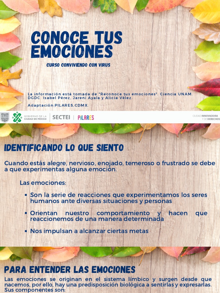 Conoce y controla tus emociones | PDF | Las emociones | Experiencia ...