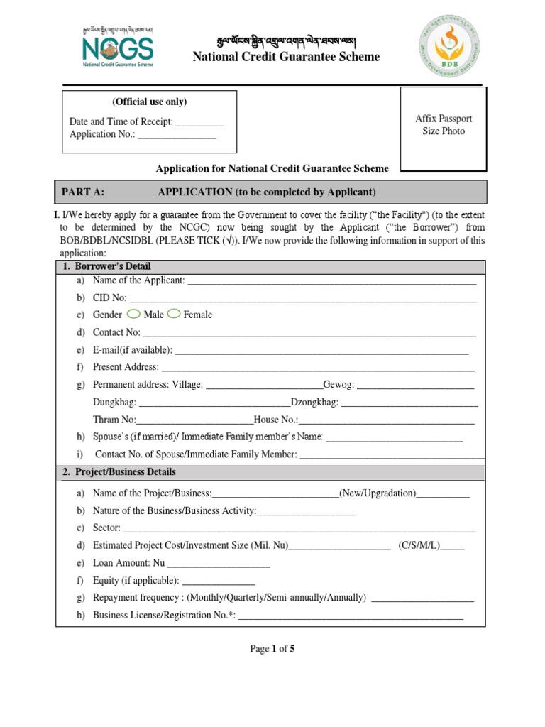BDBL NCGS Application Form | PDF | Guarantee | Employment