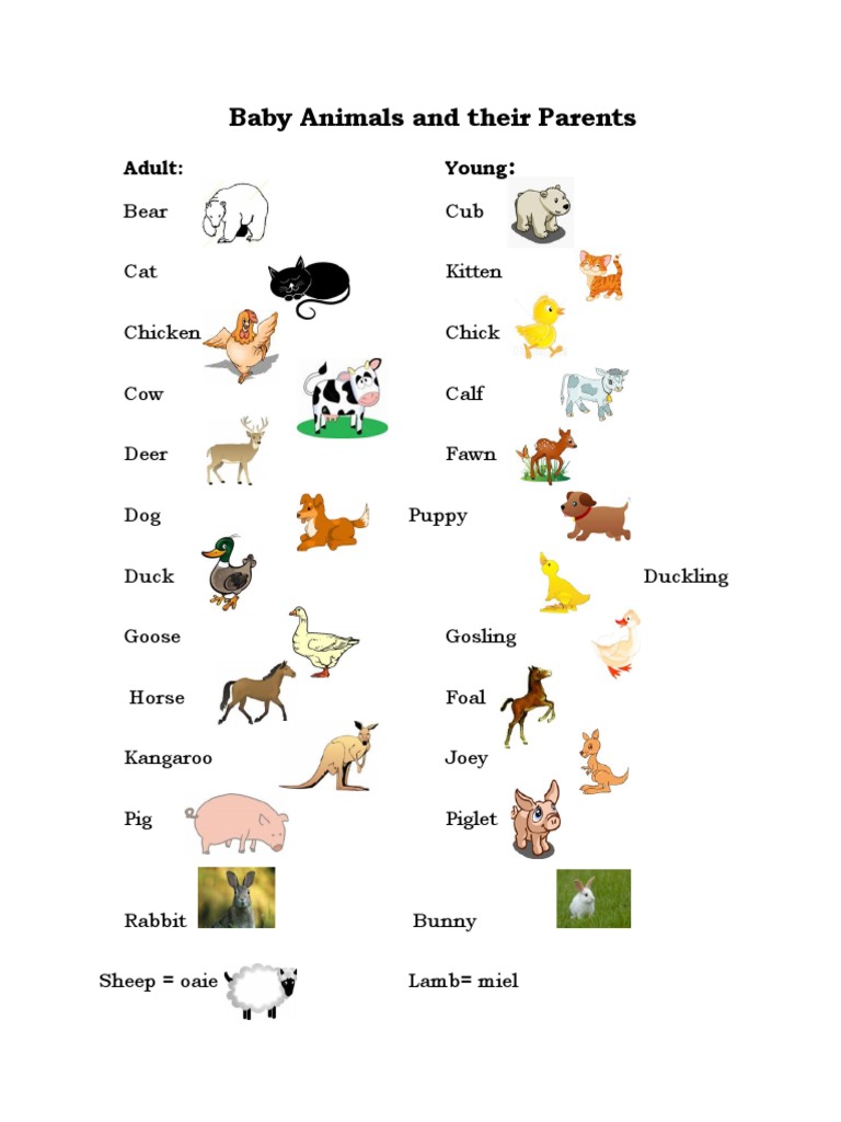 Baby Animals and Their Parents:: Adult: Young | PDF