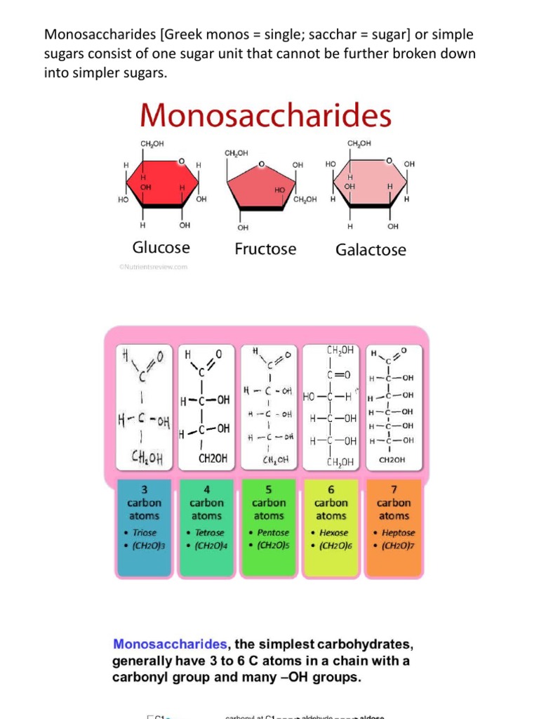 Monosaccharides (Greek Monos Single Sacchar Sugar) or Simple Sugars ...