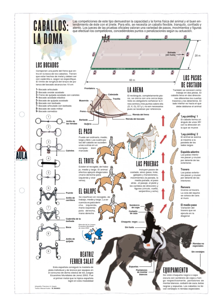 Ejercicios de Doma Clásica para Caballos | PDF
