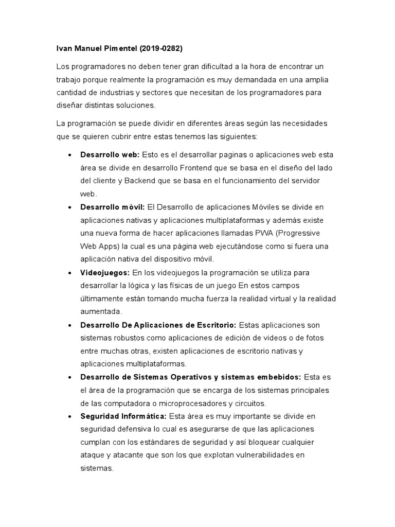 Areas de La Programacion | PDF