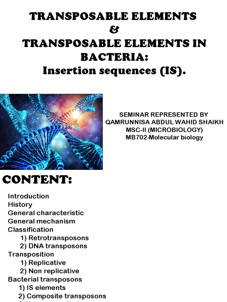 Transposable Elements & Transposable Elements in Bacteria: Insertion Sequences (IS) | PDF ...