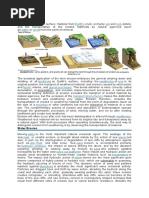 11 Bill Nye - Erosion Worksheet Key | PDF | Erosion | Water