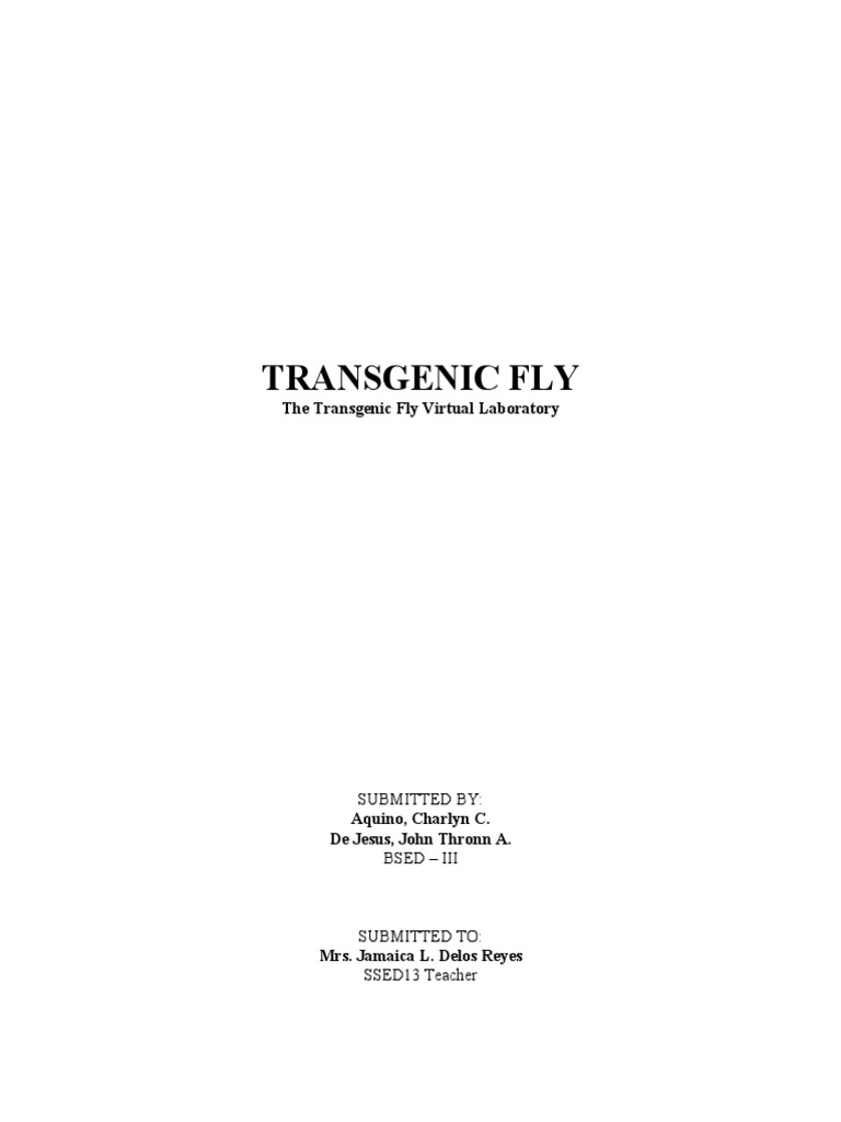 Transgenic Fly Final | PDF | Promoter (Genetics) | Transgene